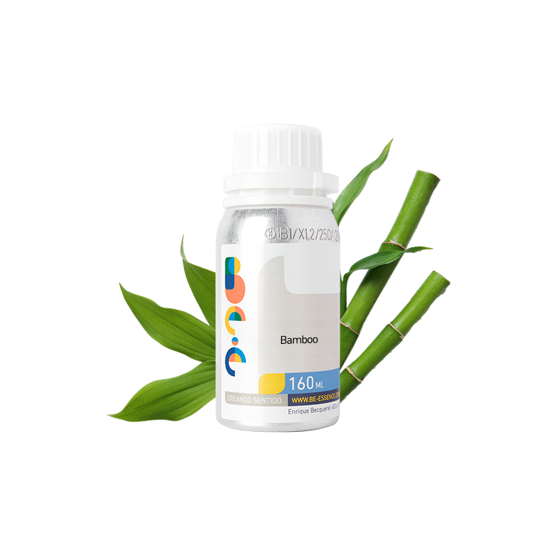 Bamboo – BE-E MEXICO