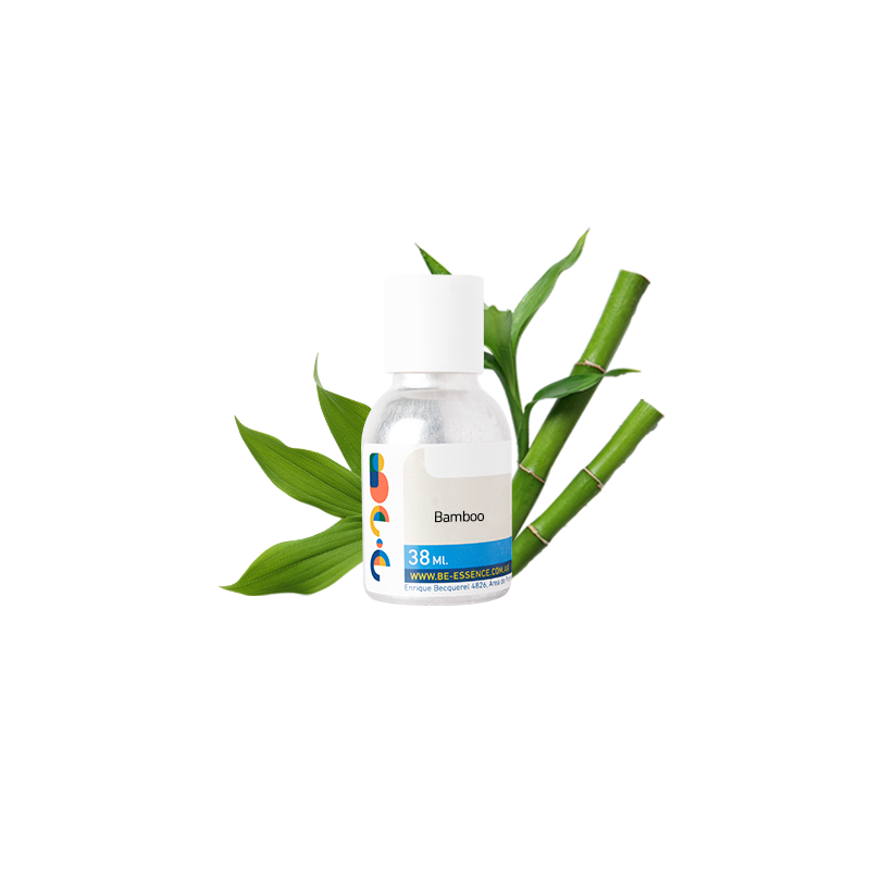 Bamboo – BE-E MEXICO