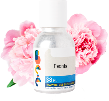 Peonia – BE-E MEXICO