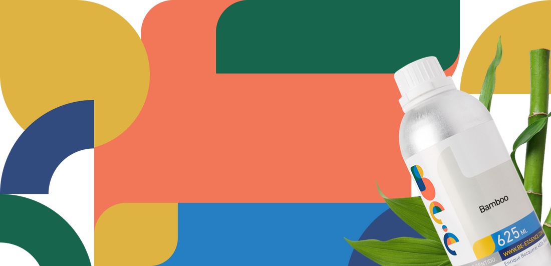 Nosotros – BE-E MEXICO